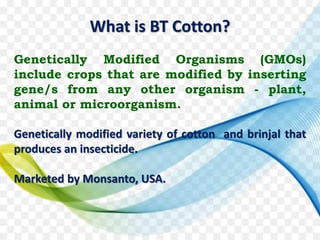 Insect resistance transgenic plants | PPTX