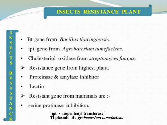 Insect resistance transgenic plants | PPTX | Agriculture | Industries