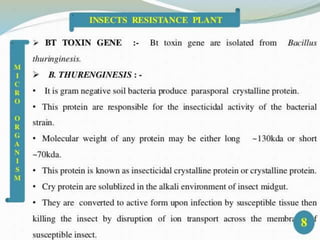 Insect resistance transgenic plants | PPTX