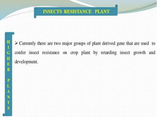 Insect resistance transgenic plants | PPTX