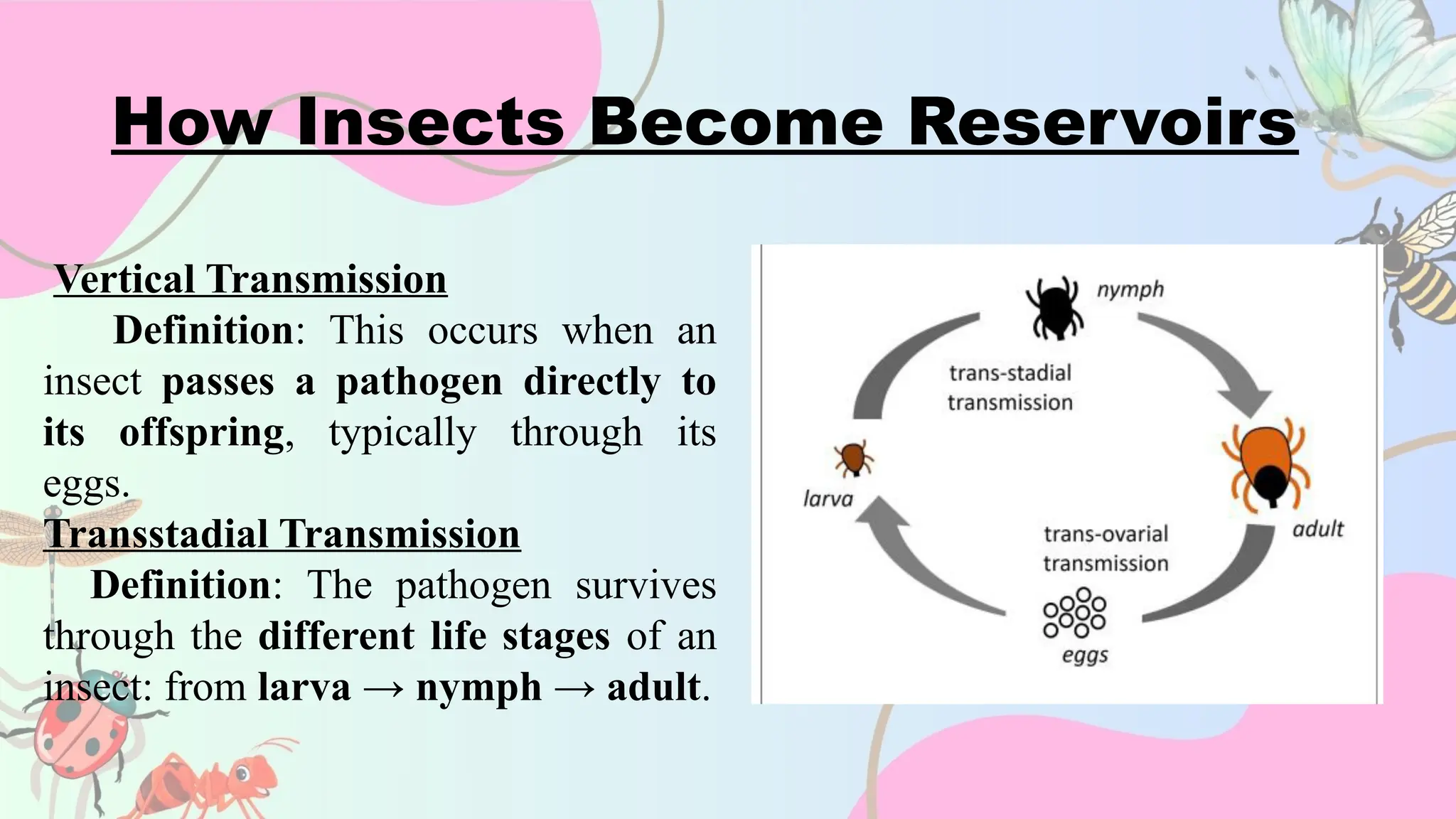 INSECT RESRVOIR 1 for insect vector and disease | PPTX