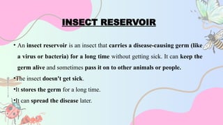 INSECT RESRVOIR 1 for insect vector and disease | PPT