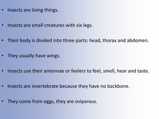 Insects | PPTX
