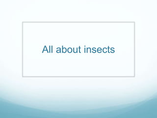 Insects | PPTX