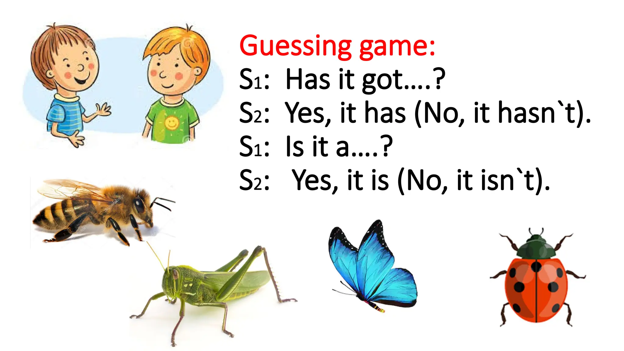 Insects, bugs. Animal parts of body. Riddles. | PPTX