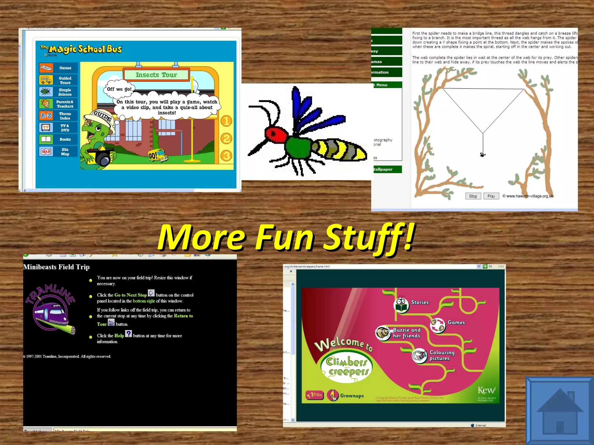 Insects And Minibeasts | PPS