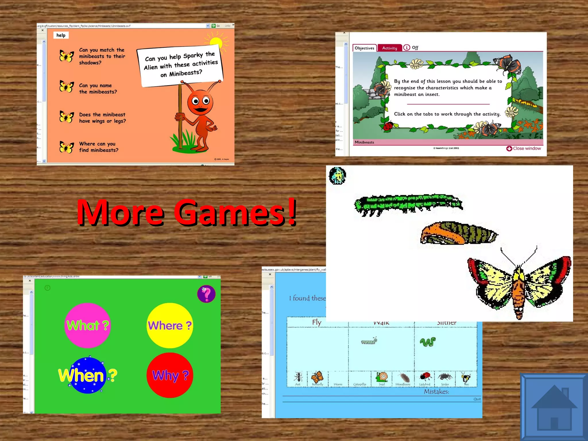 Insects And Minibeasts | PPS