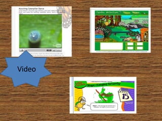 Insects And Minibeasts | PPS