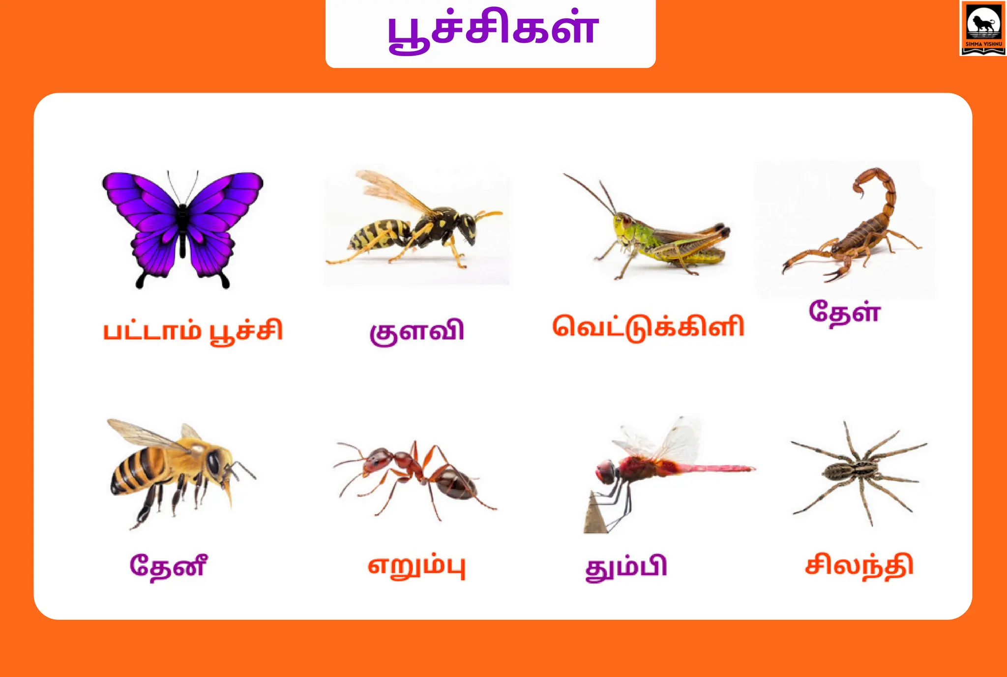 Insects-in-tamil-பூச்சிகள்-Insects-chart.pdf