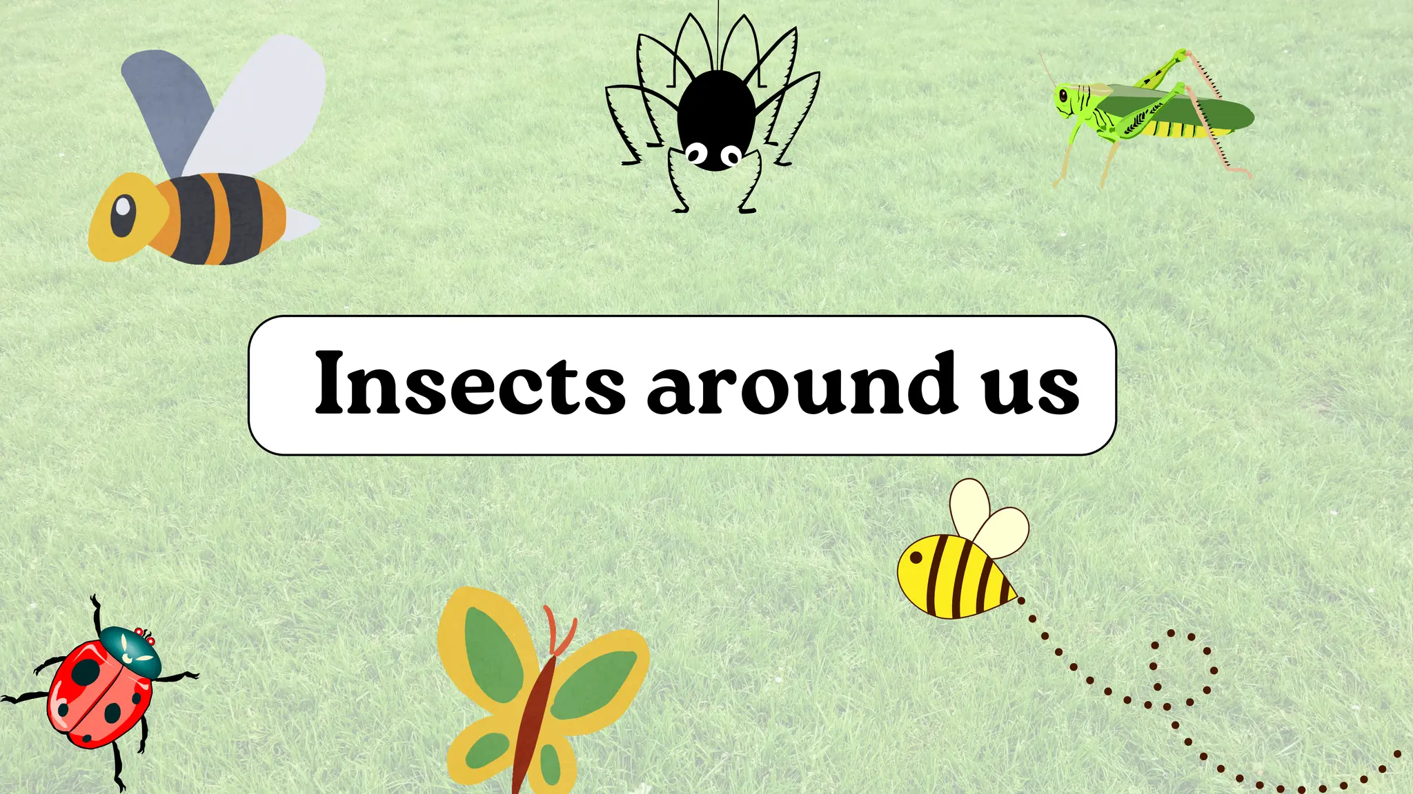ESL Teaching INSECTS for young learners. | PDF