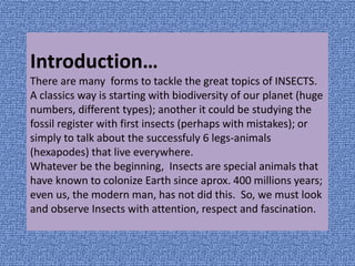 Insects1(englishversion) | PDF
