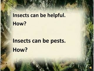 Insects - An Introduction for First Grade | PPTX