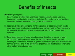 Insects 4 | PPT