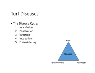 Turfgrass Insects and Diseases | PDF