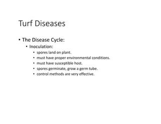 Turfgrass Insects and Diseases | PDF