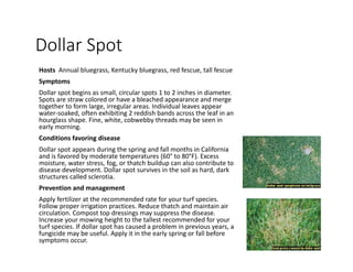 Turfgrass Insects and Diseases | PDF