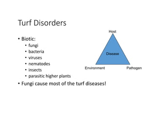 Turfgrass Insects and Diseases | PDF