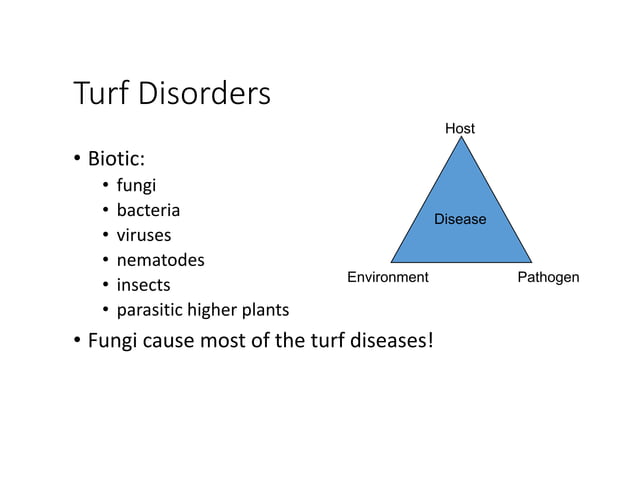 Turfgrass Insects and Diseases | PDF