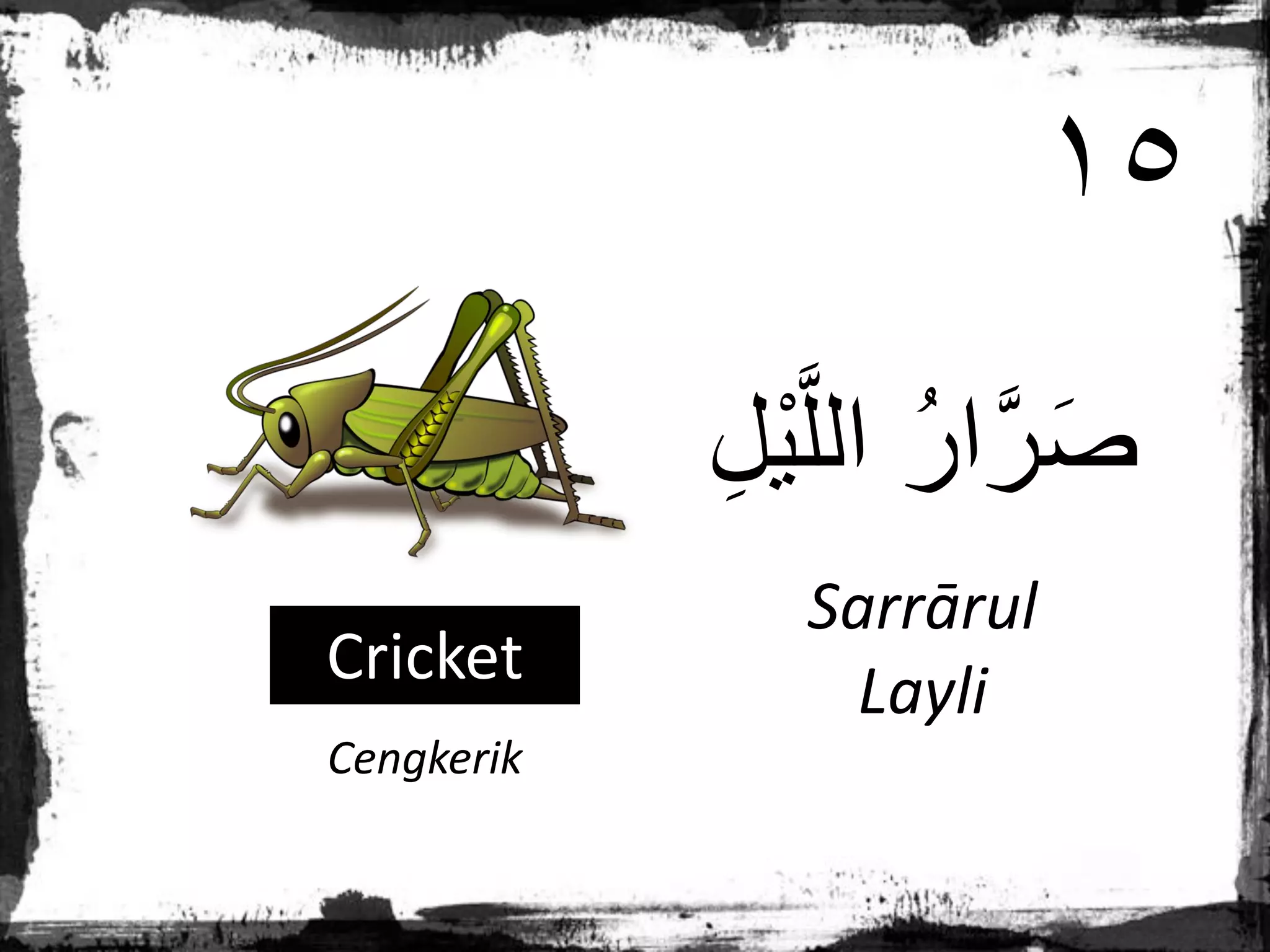 BAHASA ARAB - Serangga (Insects) | PDF