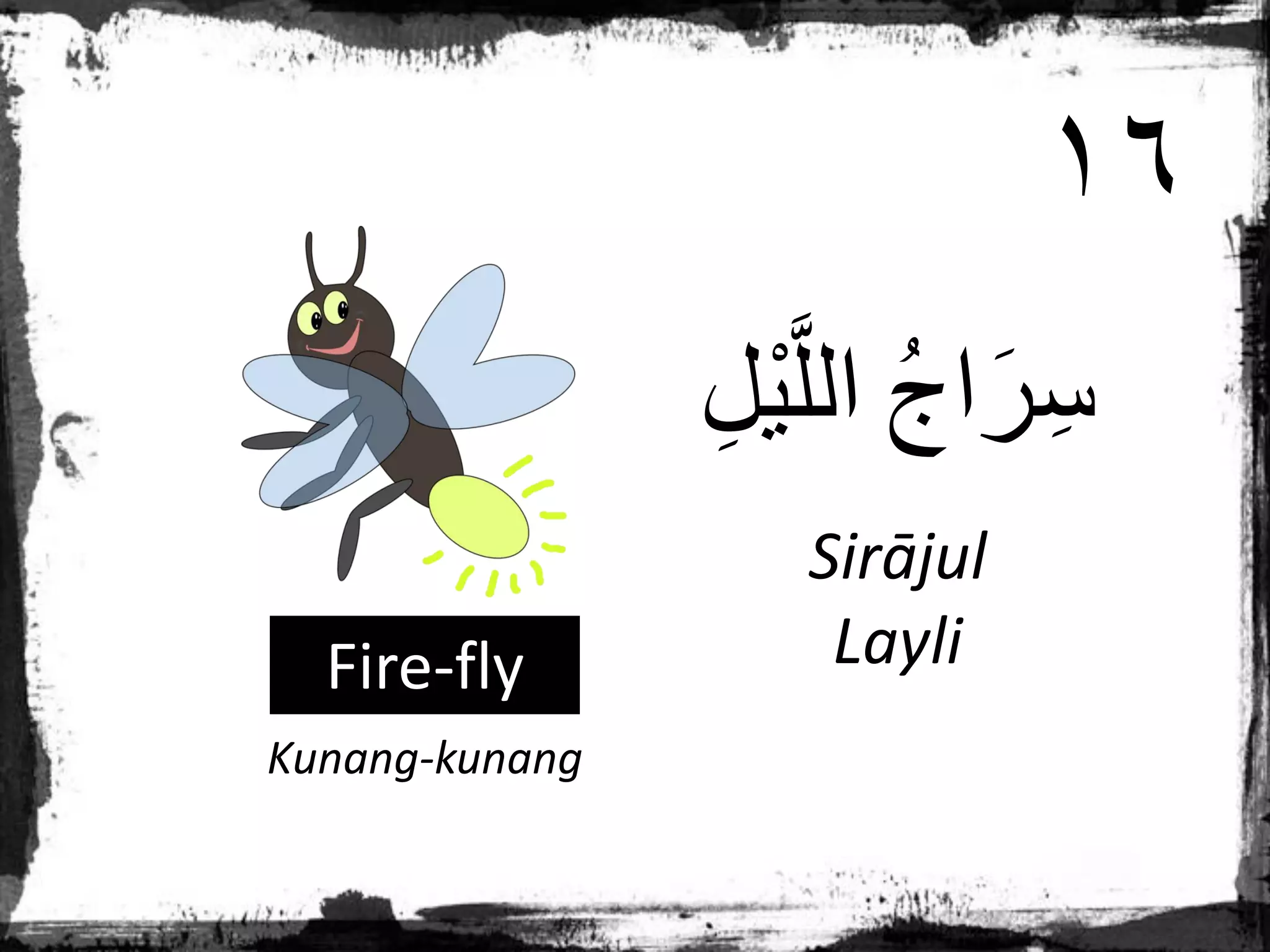BAHASA ARAB - Serangga (Insects) | PDF