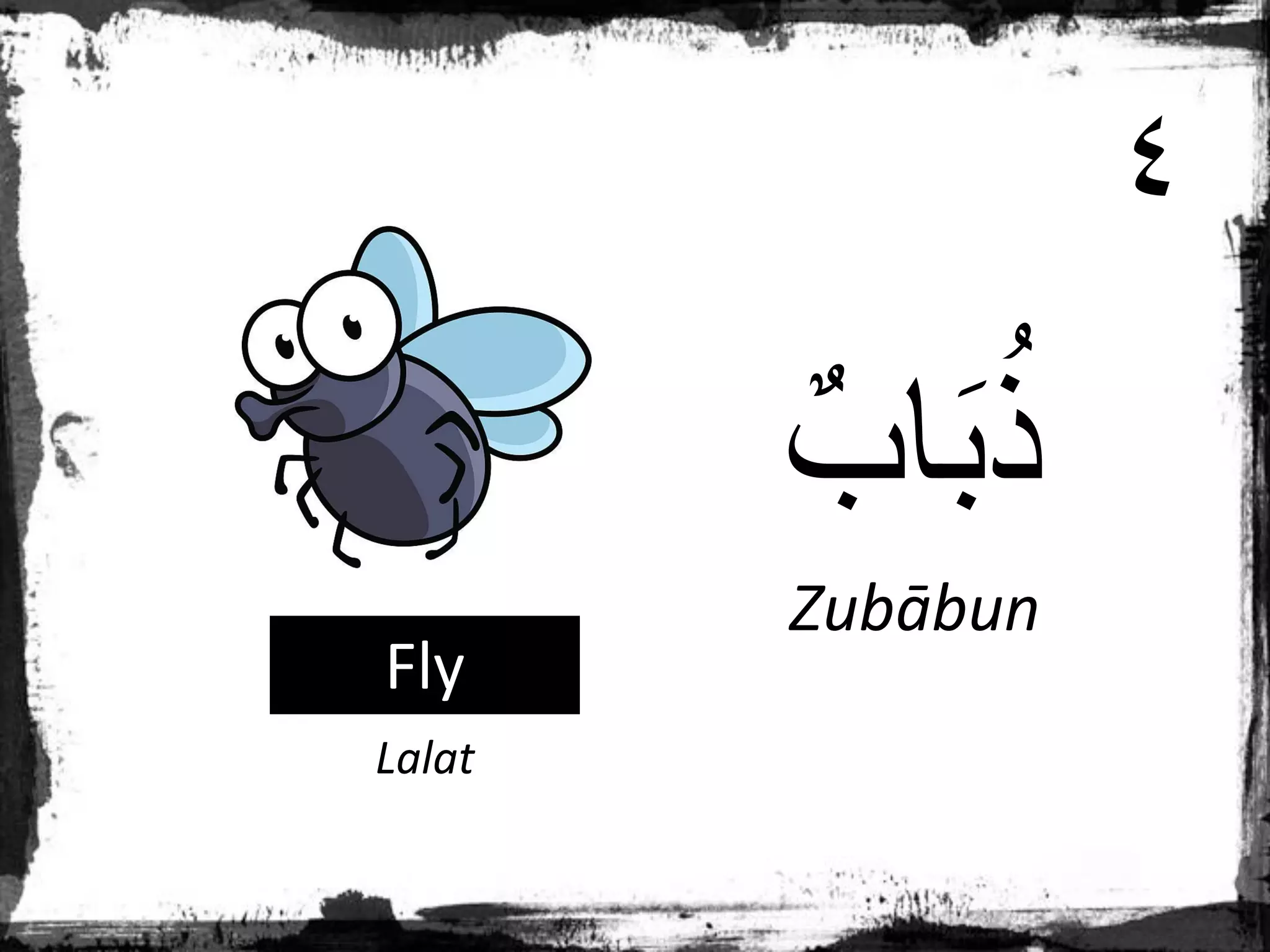 BAHASA ARAB - Serangga (Insects) | PDF