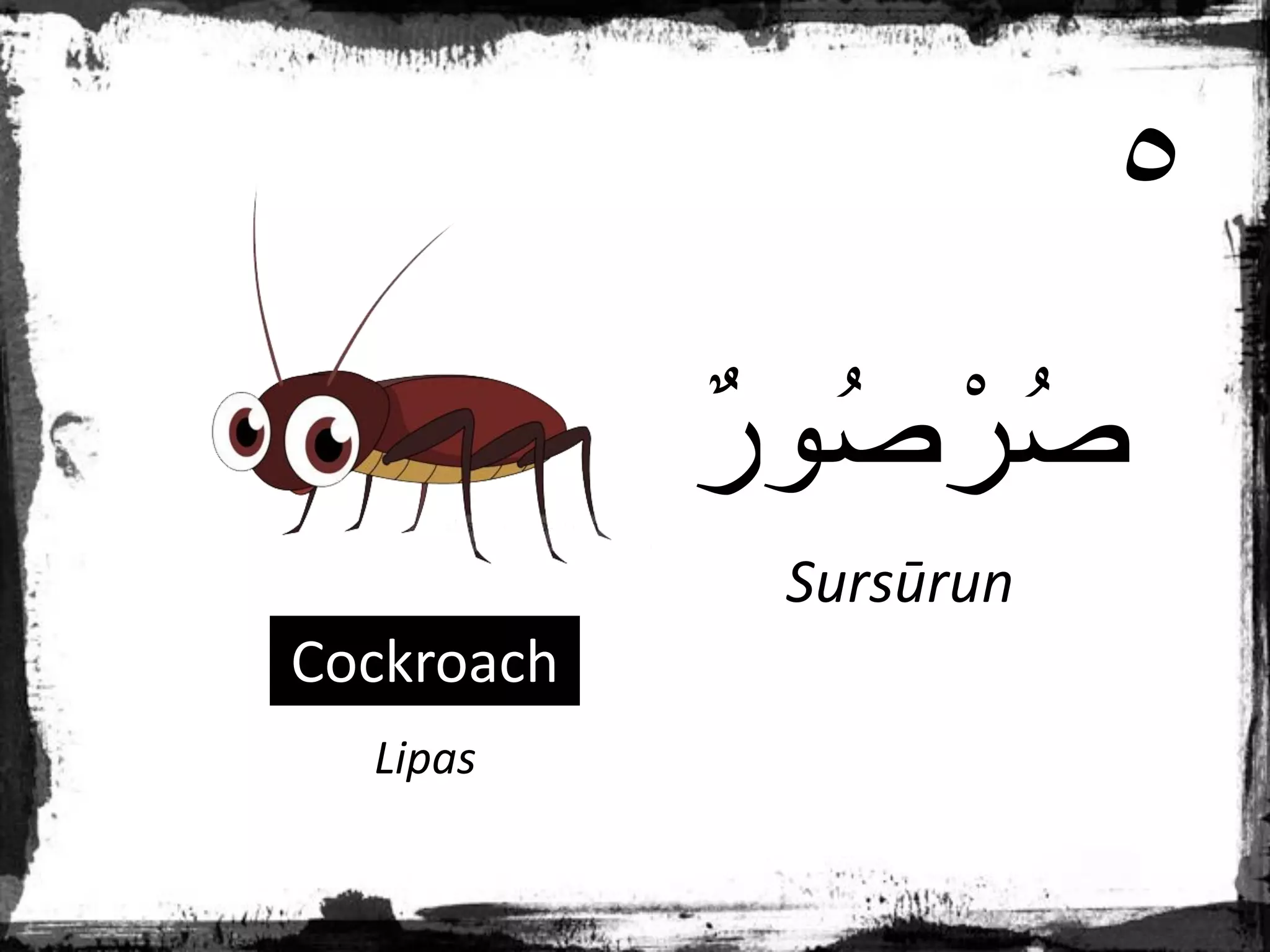 BAHASA ARAB - Serangga (Insects) | PDF
