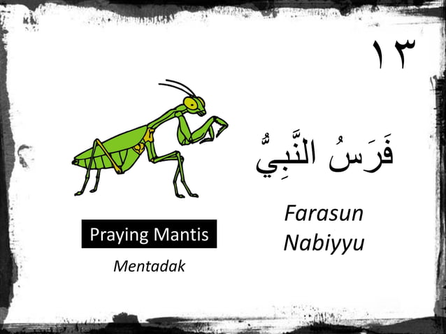 BAHASA ARAB - Serangga (Insects) | PDF