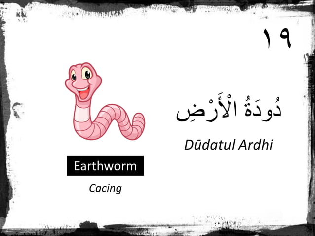 BAHASA ARAB - Serangga (Insects) | PDF