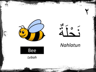 BAHASA ARAB - Serangga (Insects) | PDF
