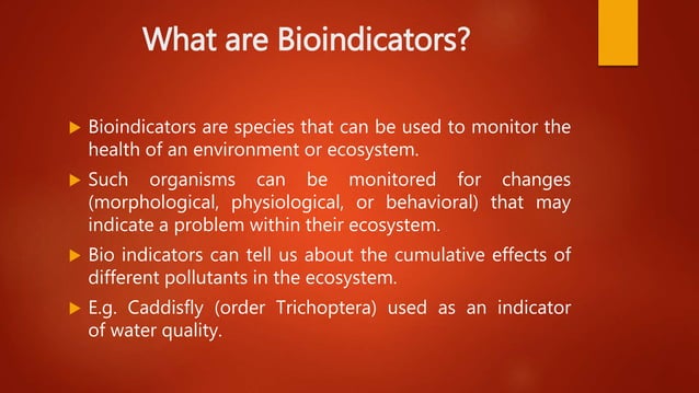 Insects as bioindicator of environmental pollution | PPTX | Indoor ...