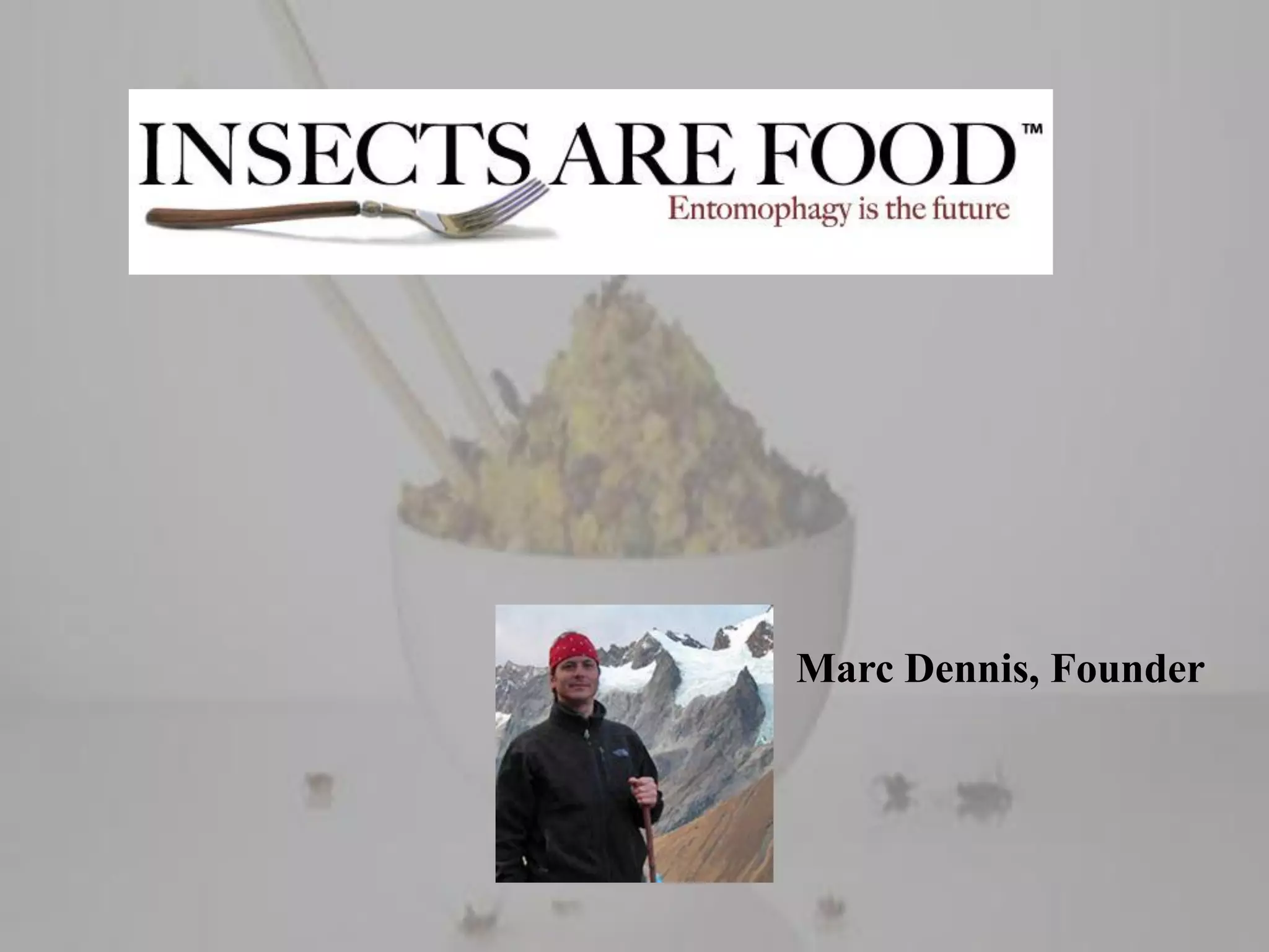 Insects as human food | PDF