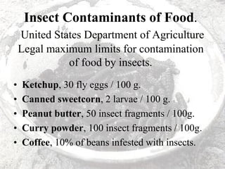 Insects as human food | PDF