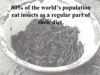 Insects as human food | PDF