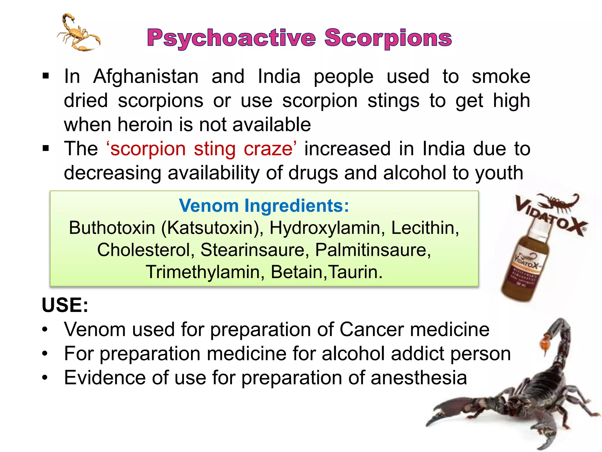 Insects as Medicine (Entomotherapy) | PPTX