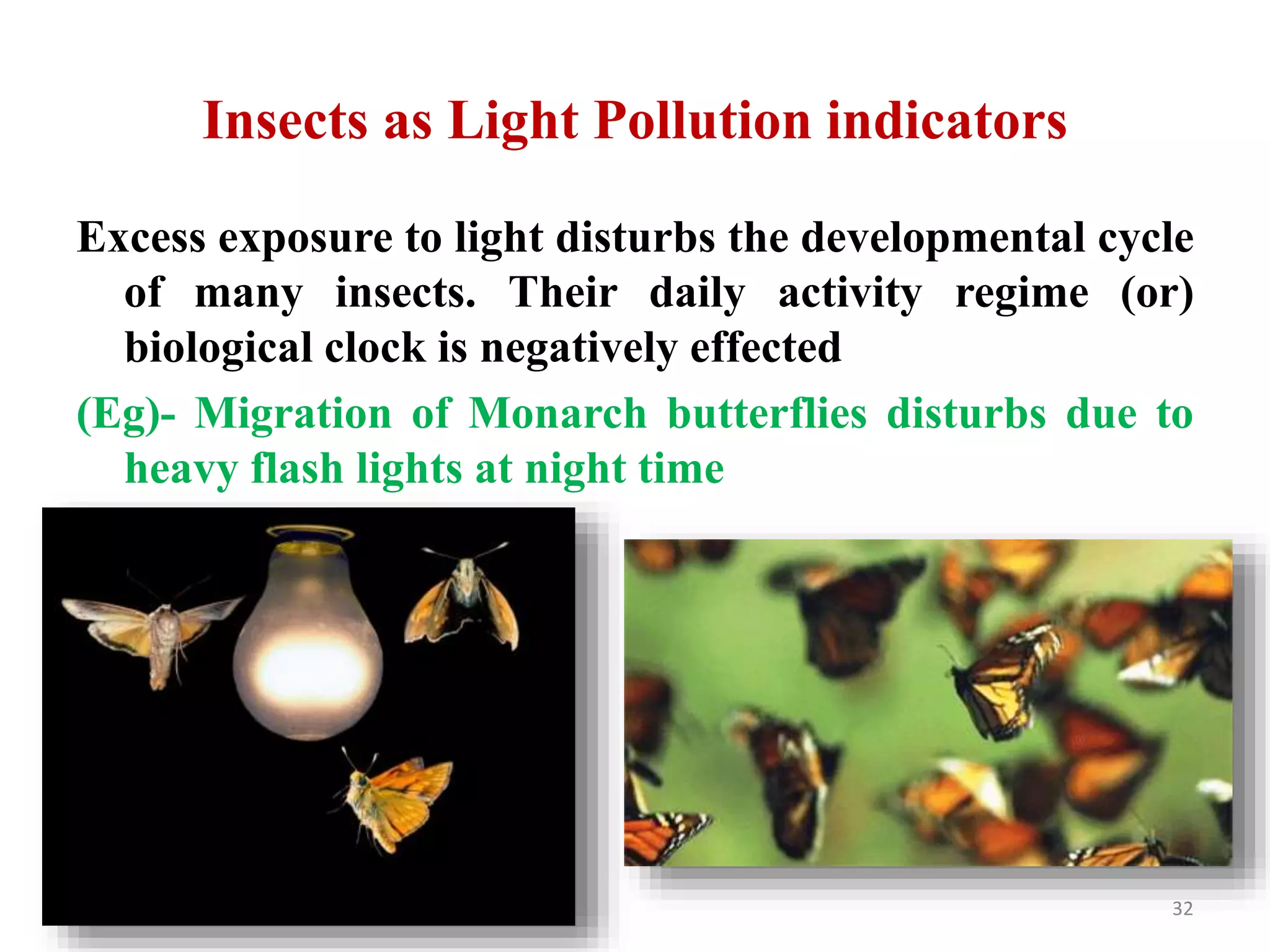 Insects as pollution indicators | PPTX