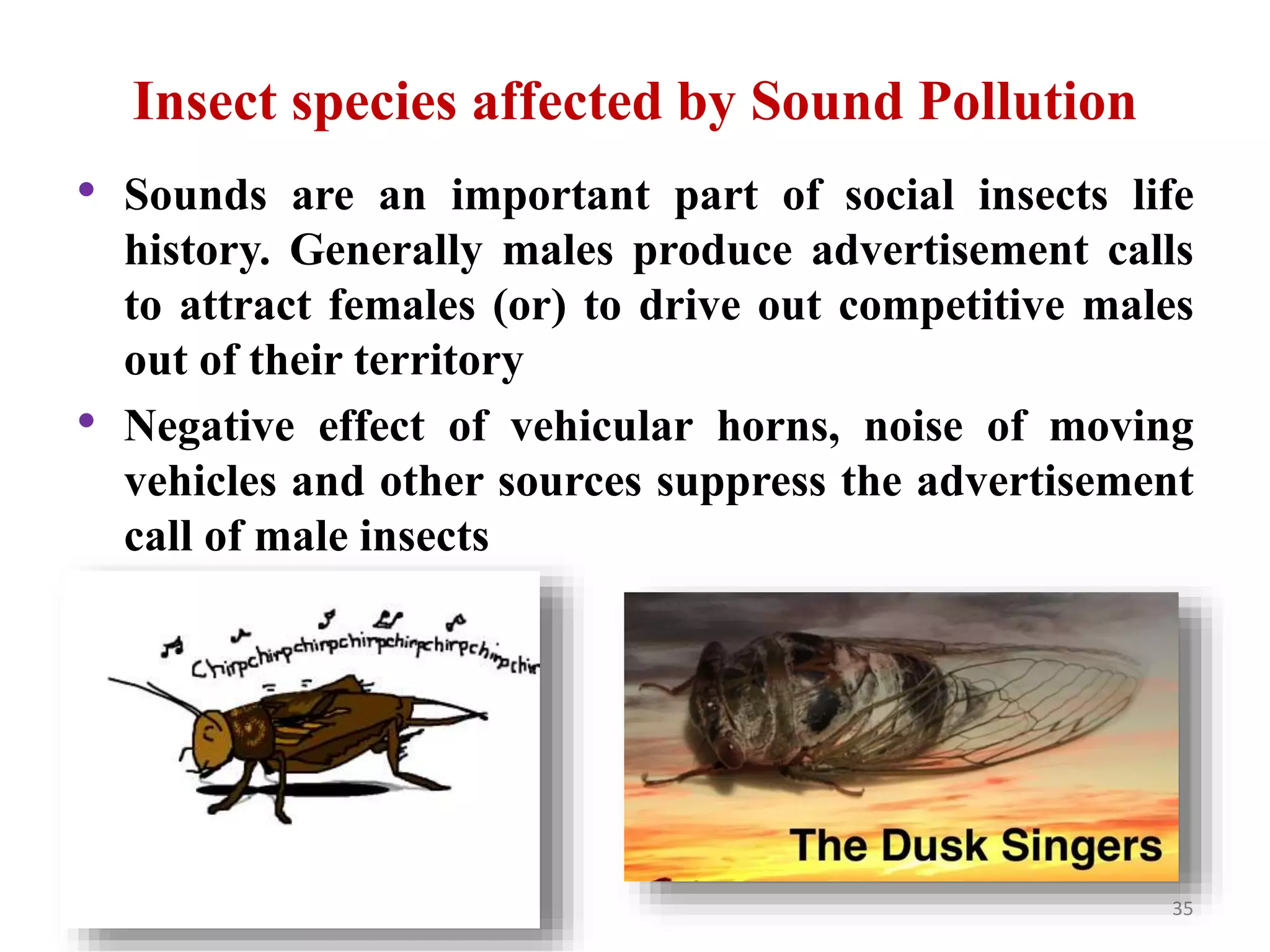 Insects as pollution indicators | PPTX