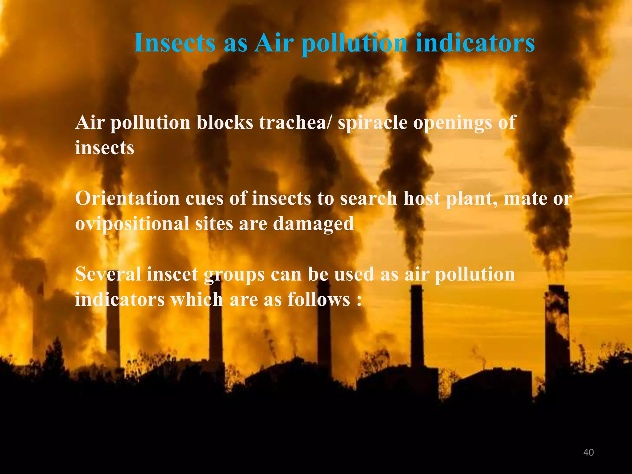 Insects as pollution indicators | PPTX