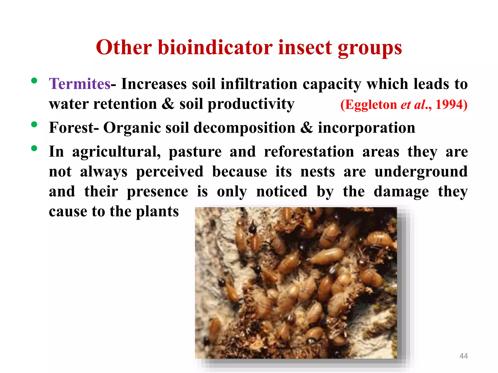 Insects as pollution indicators | PPTX