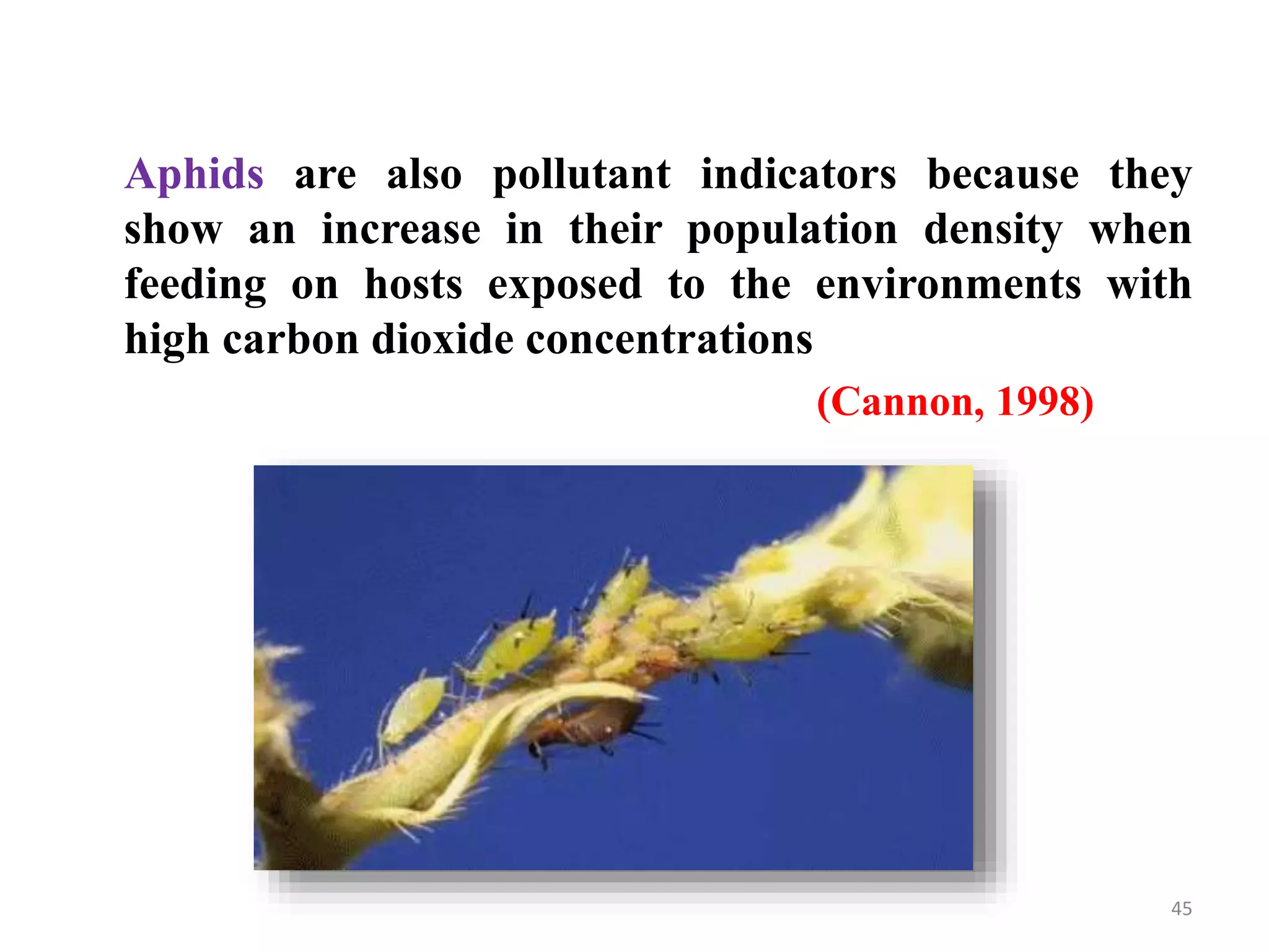 Insects as pollution indicators | PPTX