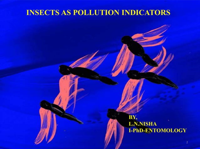 Insects as pollution indicators | PPTX | Indoor Environmental Quality ...