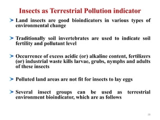 Insects as pollution indicators | PPTX