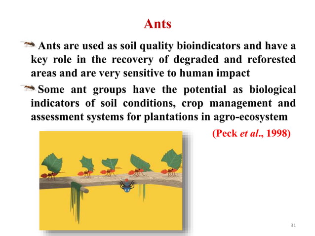 Insects as pollution indicators | PPTX | Indoor Environmental Quality ...