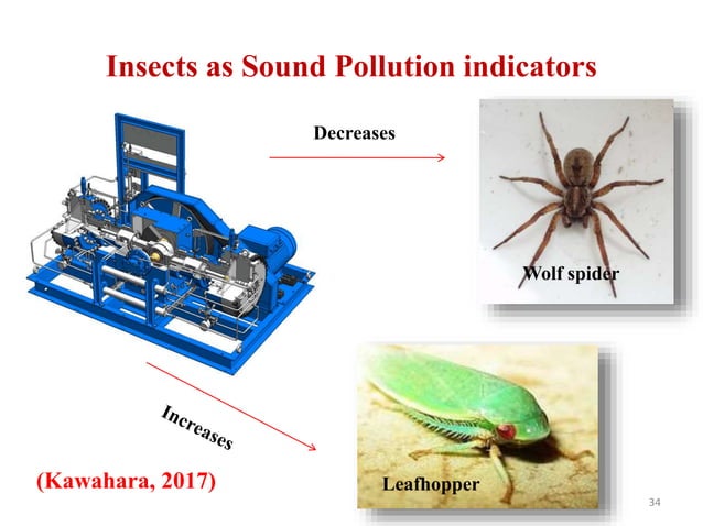 Insects as pollution indicators | PPTX | Indoor Environmental Quality ...