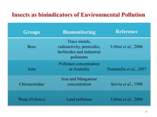Insects as pollution indicators | PPTX