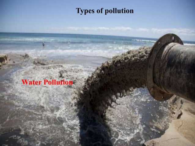 Insects as pollution indicators | PPTX | Indoor Environmental Quality ...