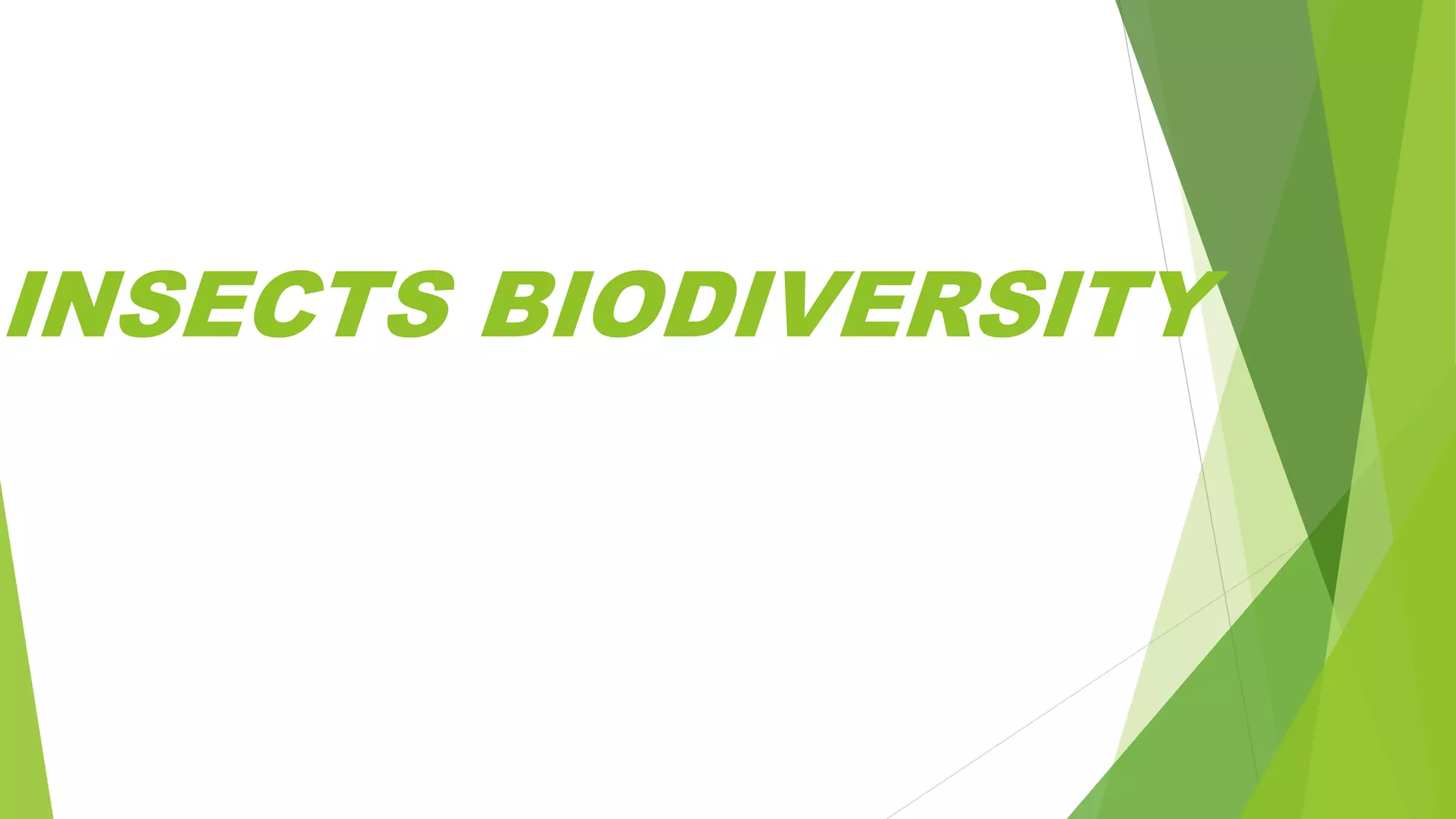 Insects biodiversity | PPTX