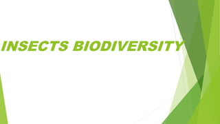 Insects biodiversity | PPTX