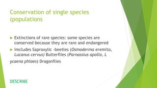 Insects biodiversity | PPTX