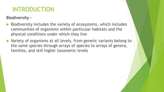 Insects biodiversity | PPTX