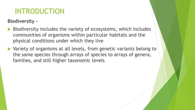 Insects biodiversity | PPTX